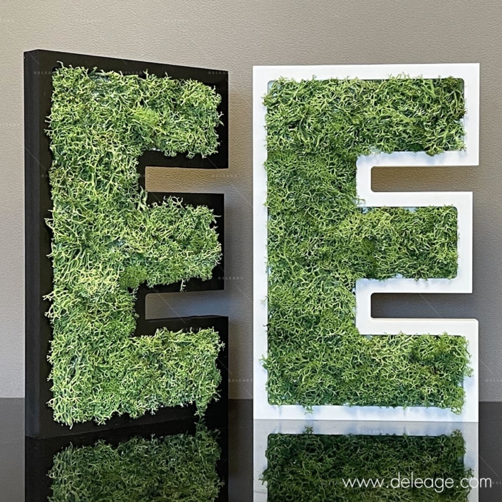 Lettre et logo PVC - Store Deléage